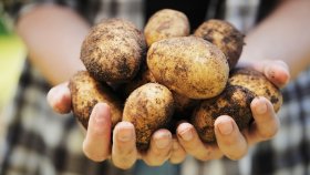 Forvaltningen - Landbruksdirektoratet