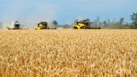 Industri og handel - Landbruksdirektoratet