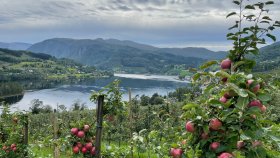 Jordbruk - Landbruksdirektoratet